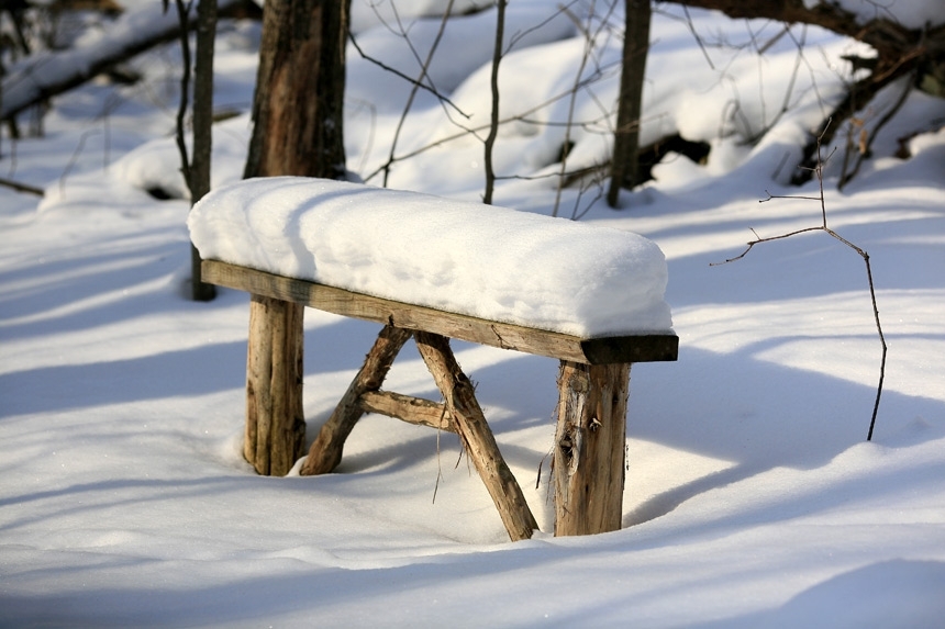 Winter Bench in the Forest, Photo Print 8' x 6 by Maple Leaf